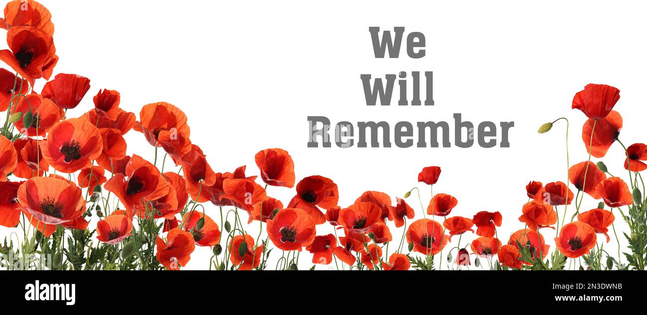 Remembrance day card. Red poppy flowers and text We Will Remember on white background Stock ...