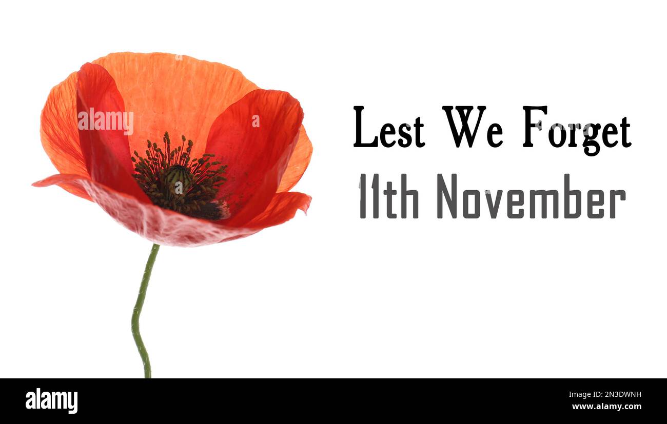 Remembrance day banner. Red poppy flower and text Lest We Forget 11th ...