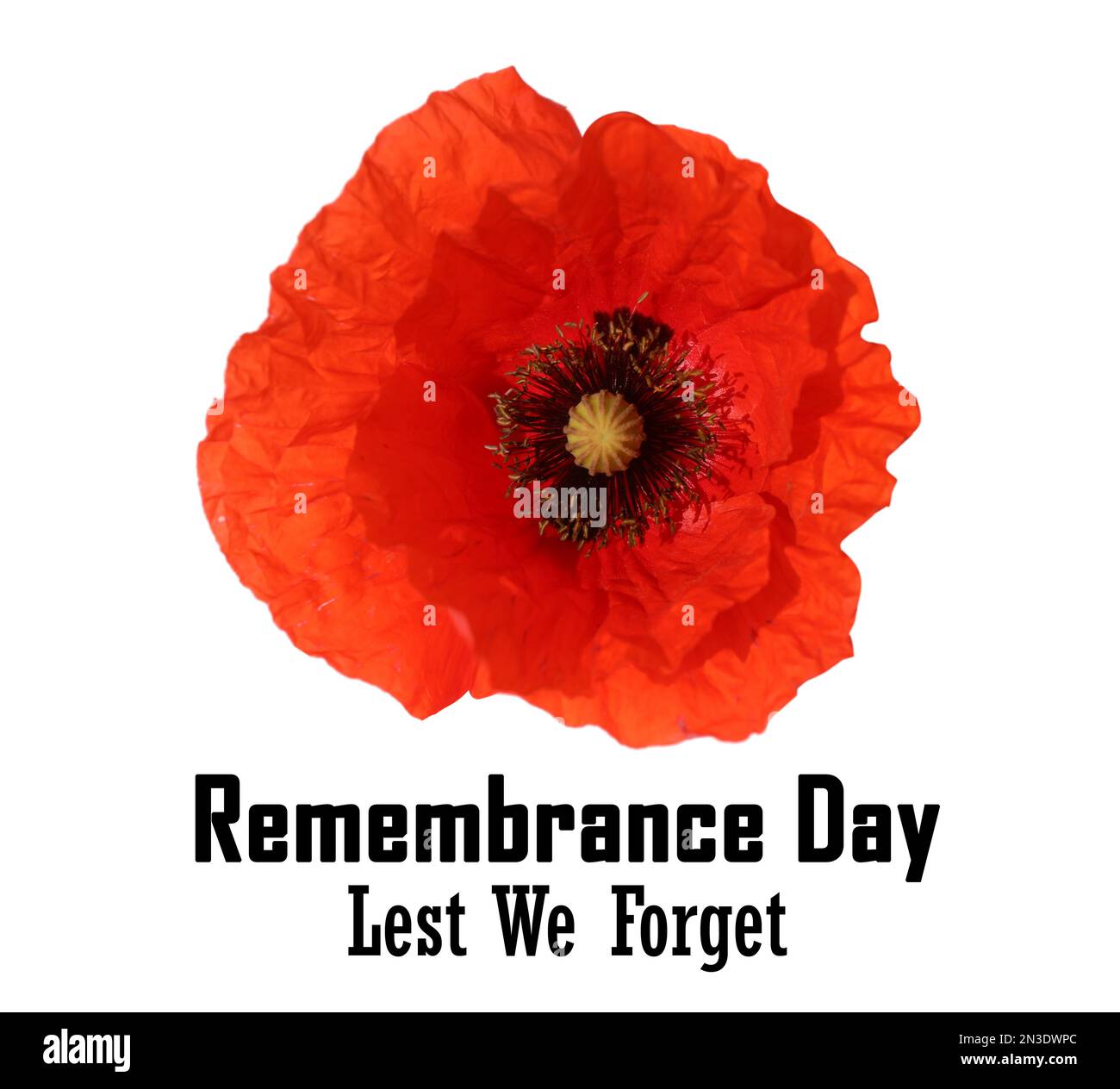 Lest We Forget Poppy