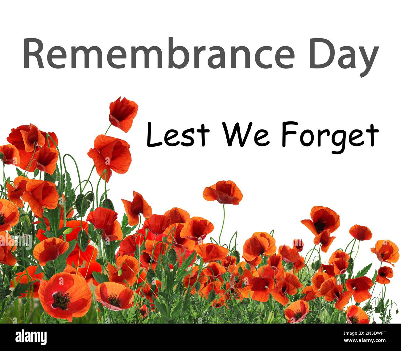 Remembrance day card. Red poppy flowers and text Lest We Forget on ...