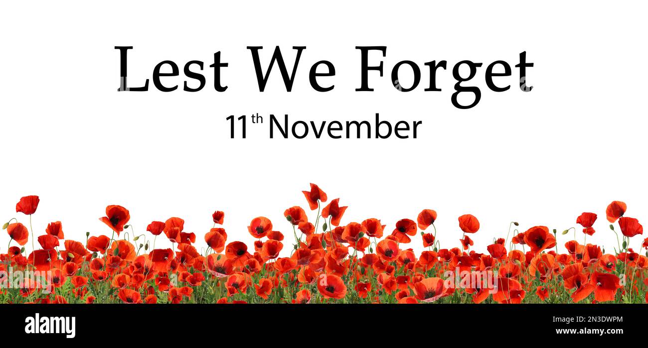 Remembrance day banner. Red poppy flowers and text Lest We Forget 11th ...