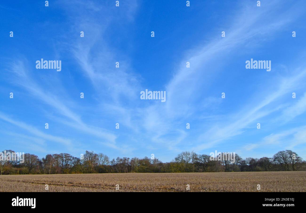 Cirrus cloud in a blue sky over serene fields and woods in Cudham, Kent ...