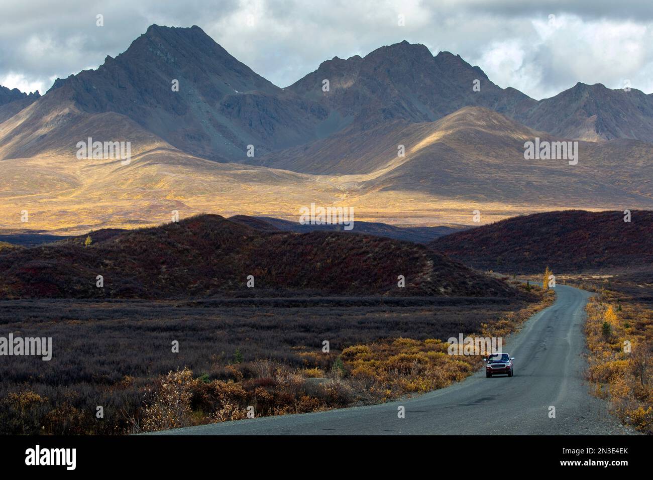 Fall foliage along the Denali Highway with sunlight and shadows on the ...