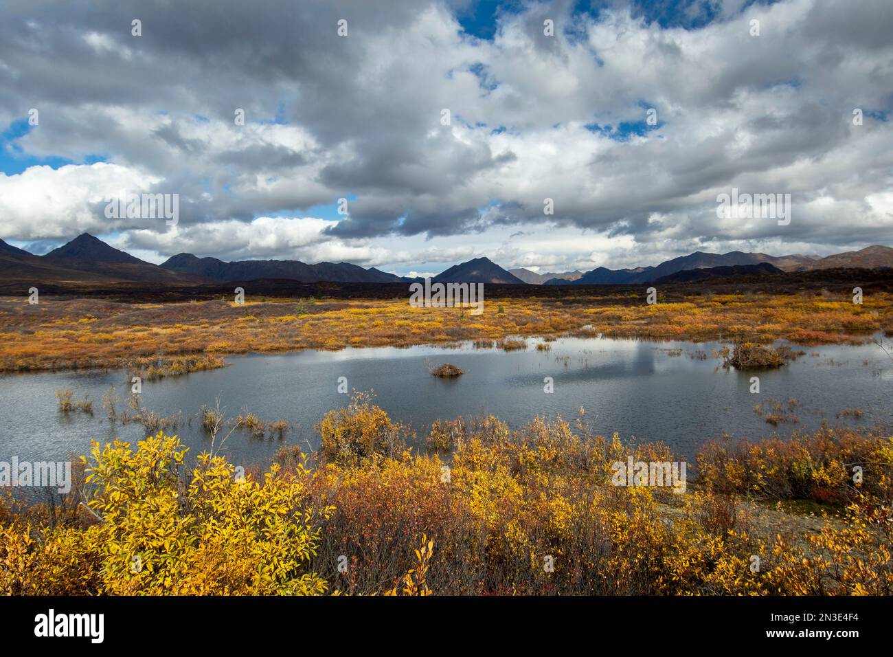 Fall foliage with a calm lake and jagged mountain peaks along the ...