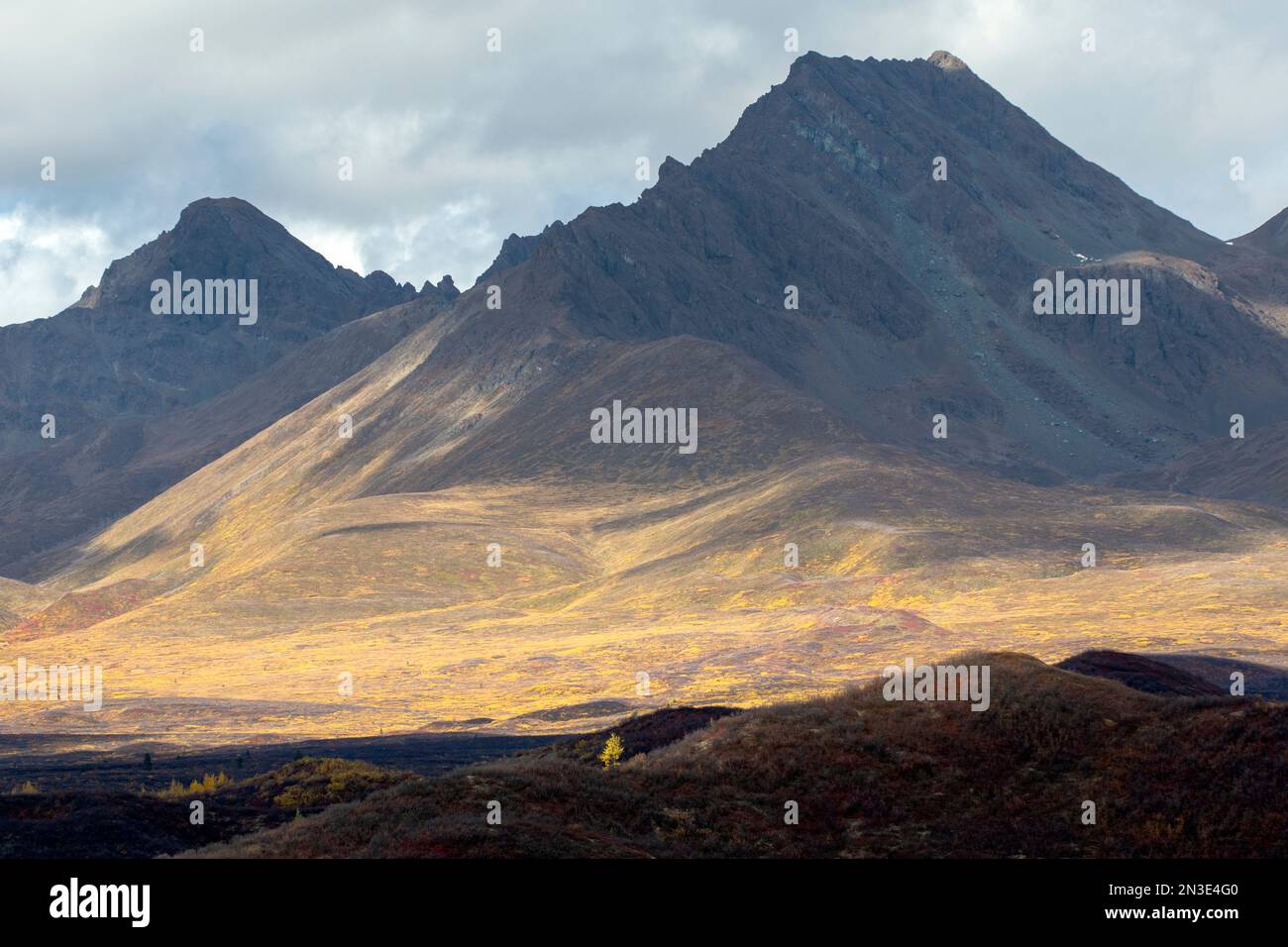 Fall foliage and jagged mountain peaks along the Denali Highway; Denali ...
