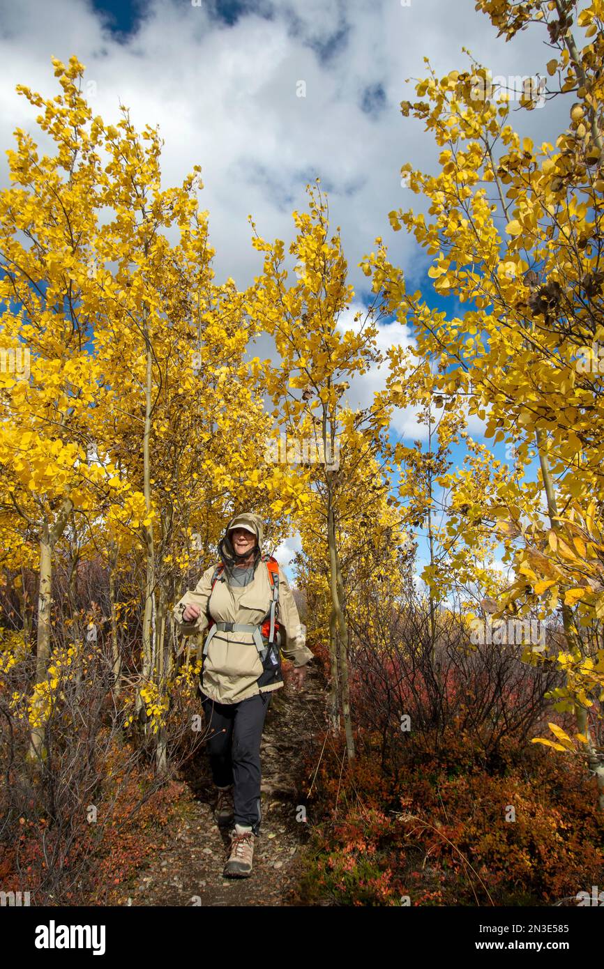 Tangle lakes campground hi-res stock photography and images - Alamy