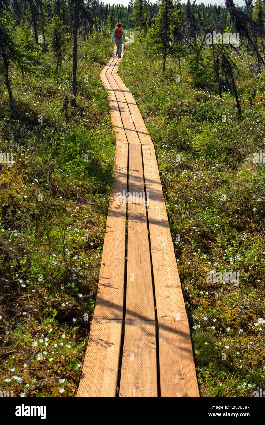 View taken from behind of a woman hiking to Angel Rocks along the Chena ...