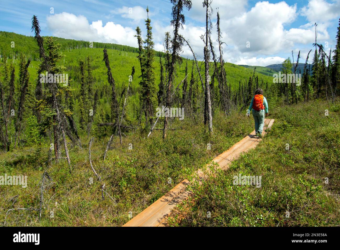 View taken from behind of a woman hiking to Angel Rocks along the Chena ...
