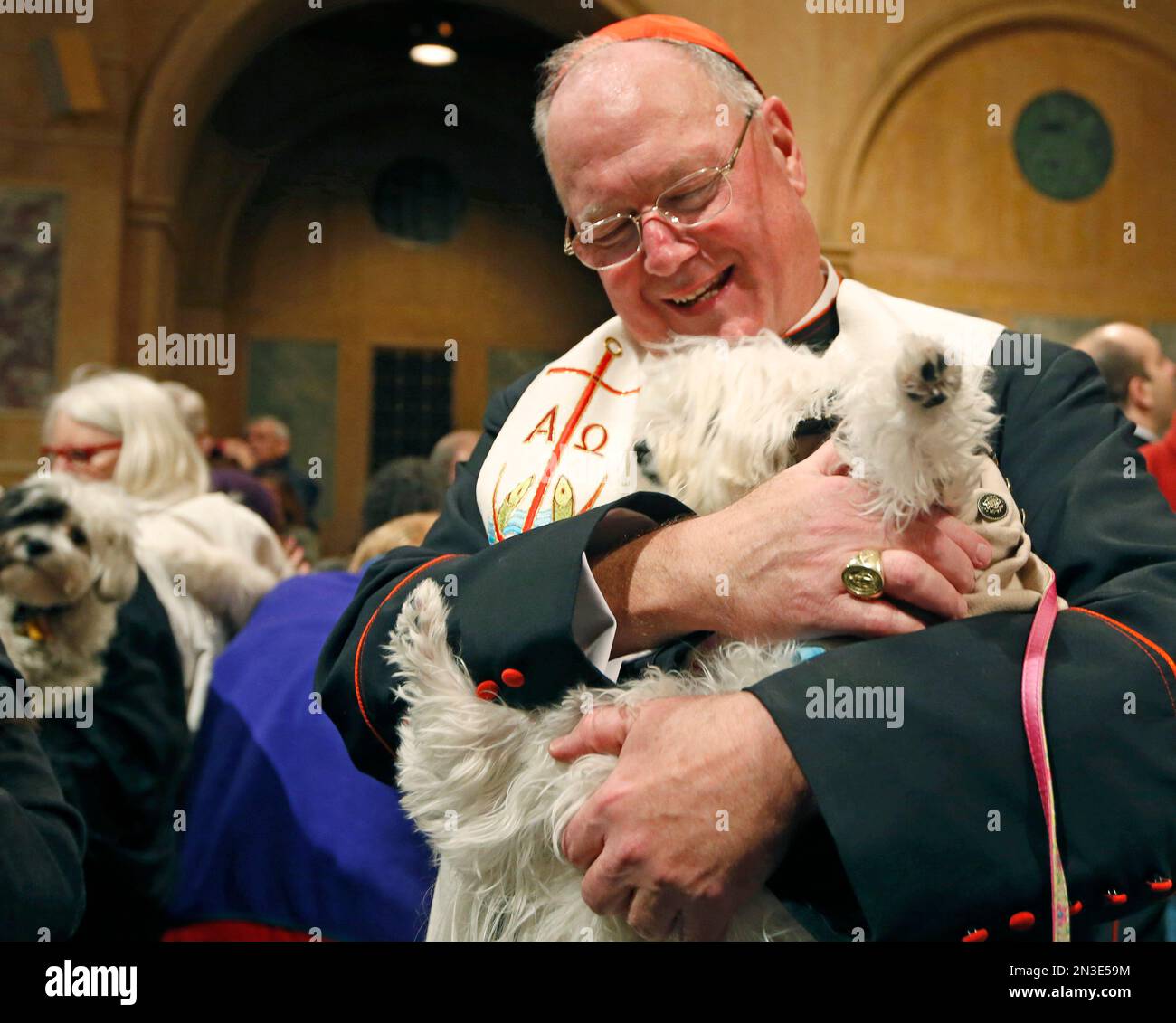 Cardinal Timothy Dolan, Archbishiop of New York, embraces a dog during ...
