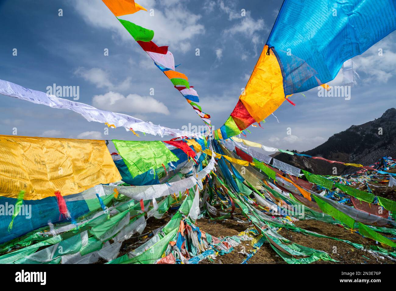 Colorful prayer flags on a hilltop against a blue sky; Amdo, Tibet ...