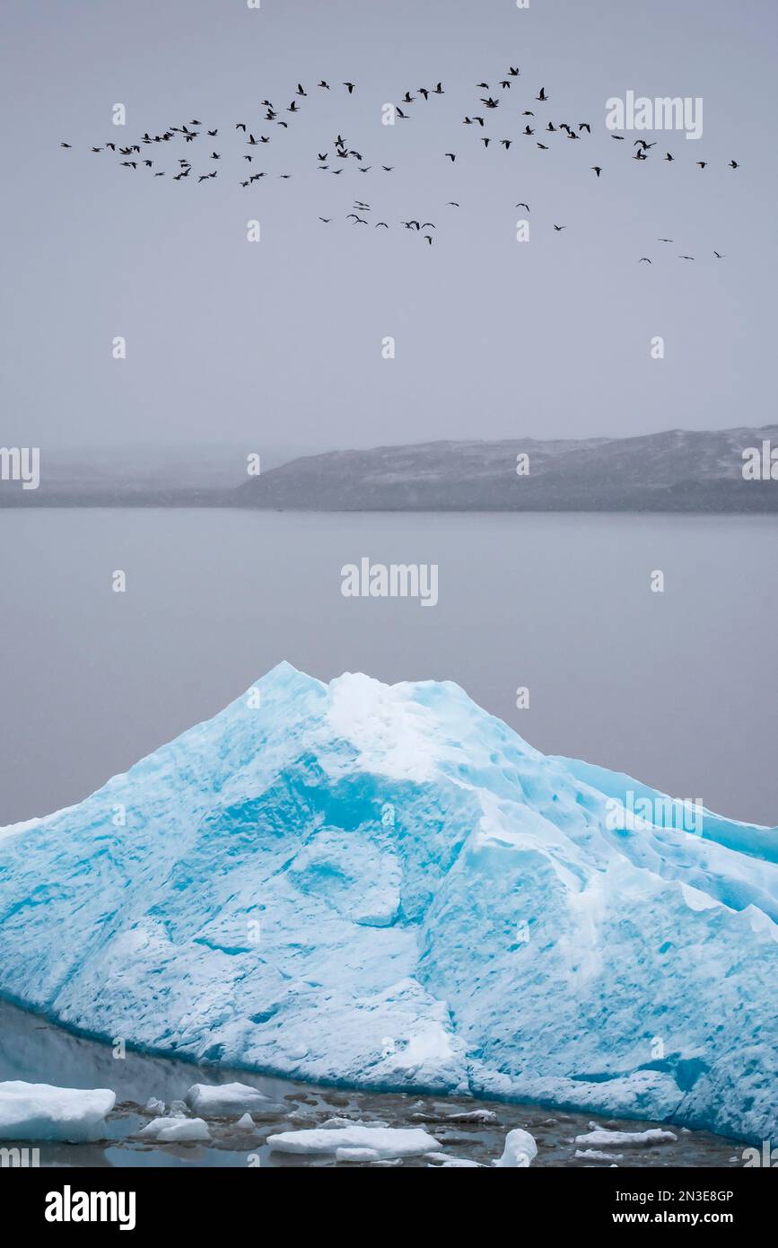 Massive iceberg birds hi-res stock photography and images - Alamy