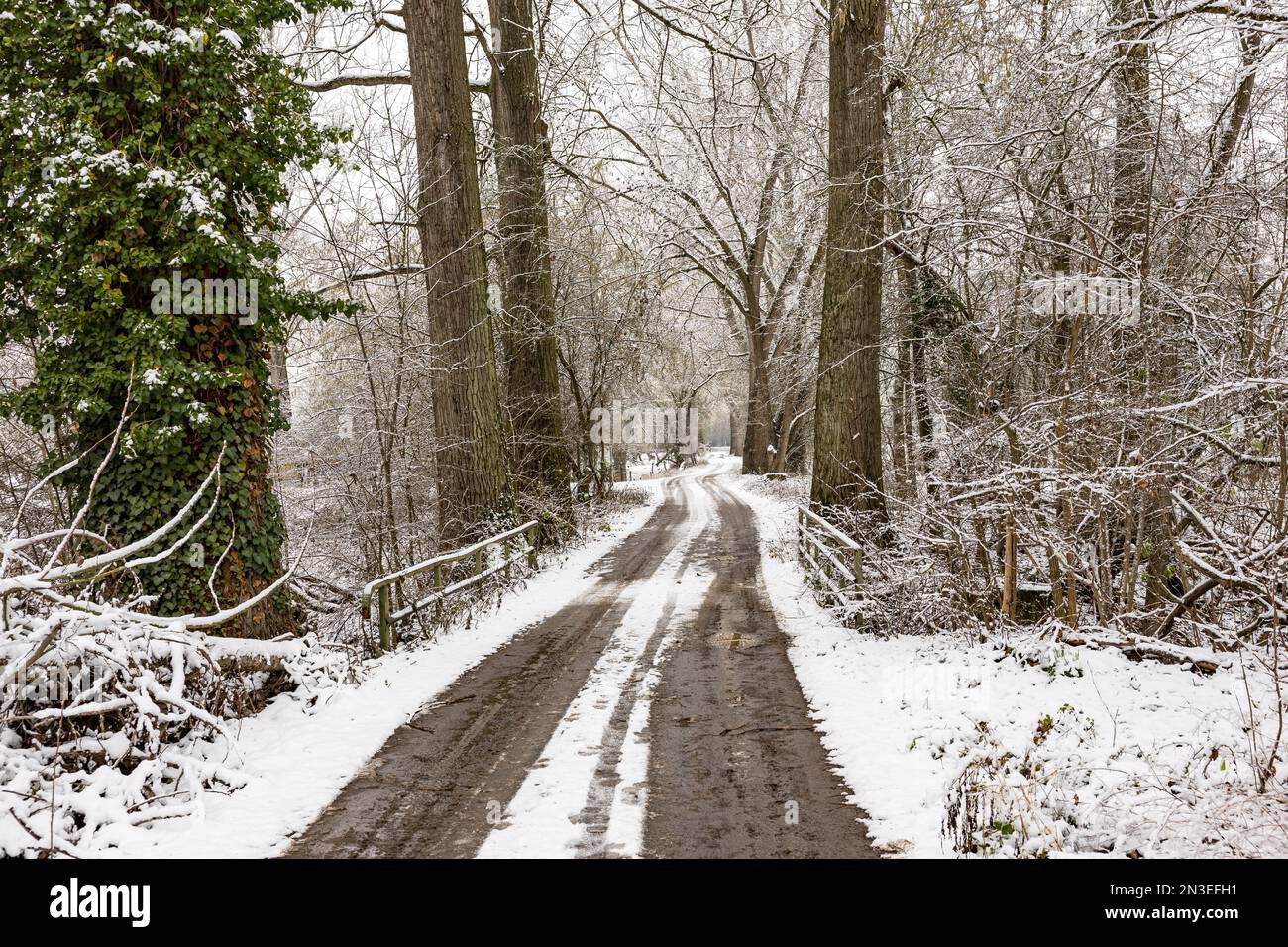 Lonely ice hi-res stock photography and images - Alamy