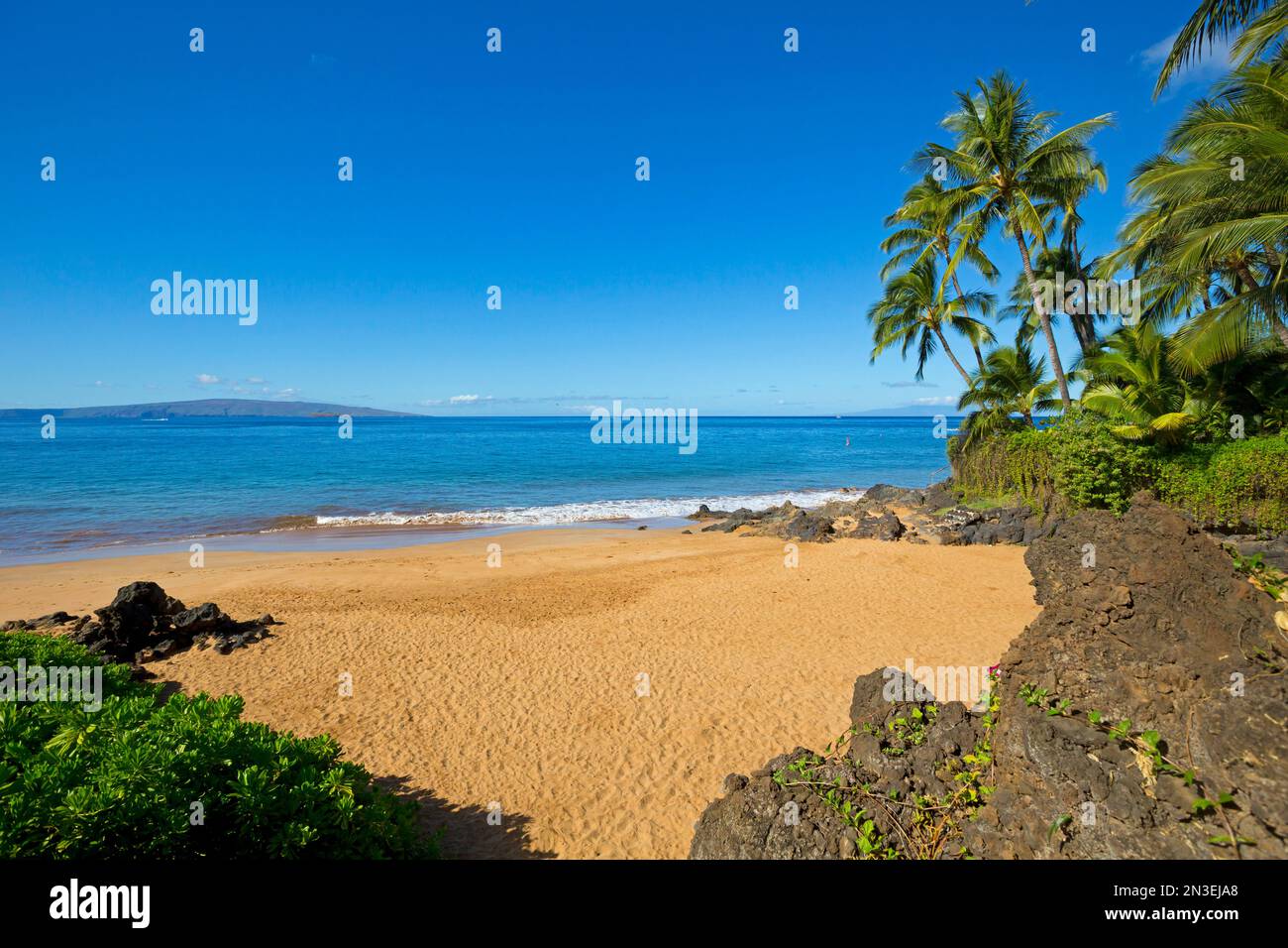 Golden sand at Po'olenalena Beach with palm trees and lava rock along ...