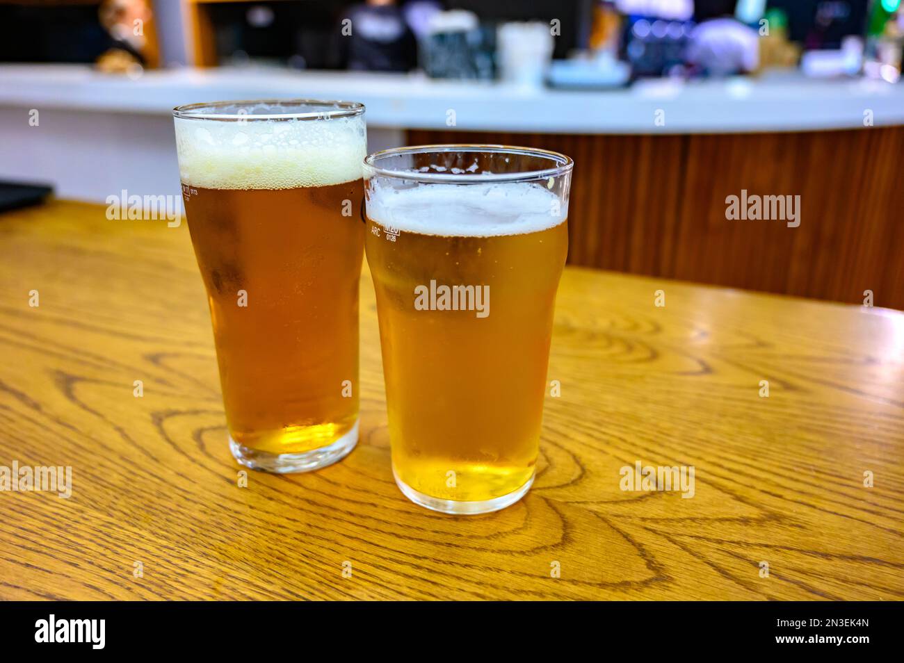 Fresh draught lager or IPA beer is glass served in indoor cafe close up ...