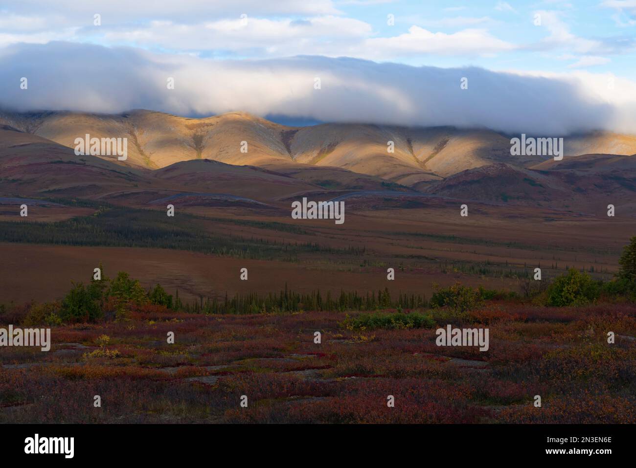 The Richardson Mountains with autumn colours create a stunning ...