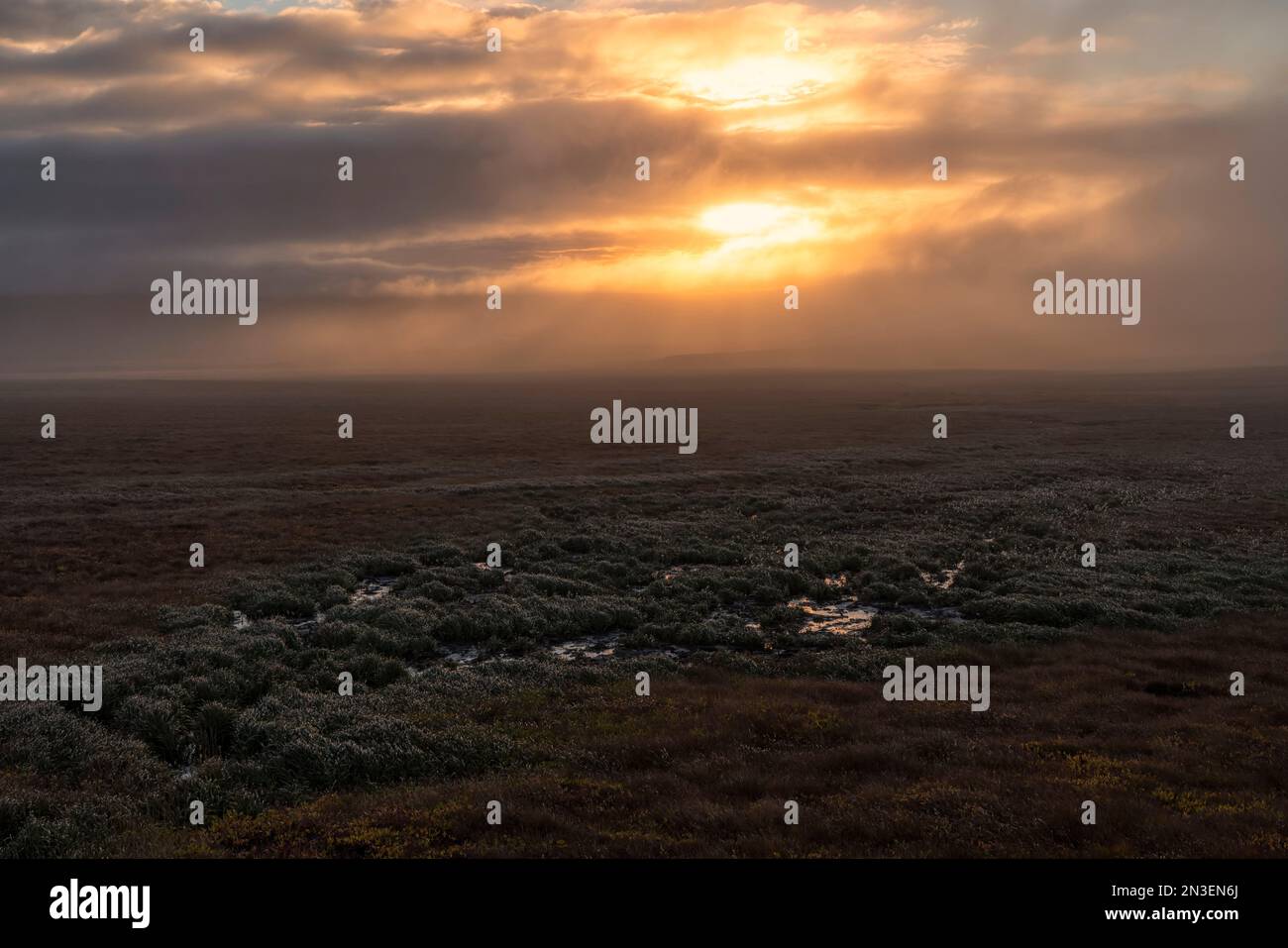Moody scene along the Dempster highway past the arctic circle in the ...