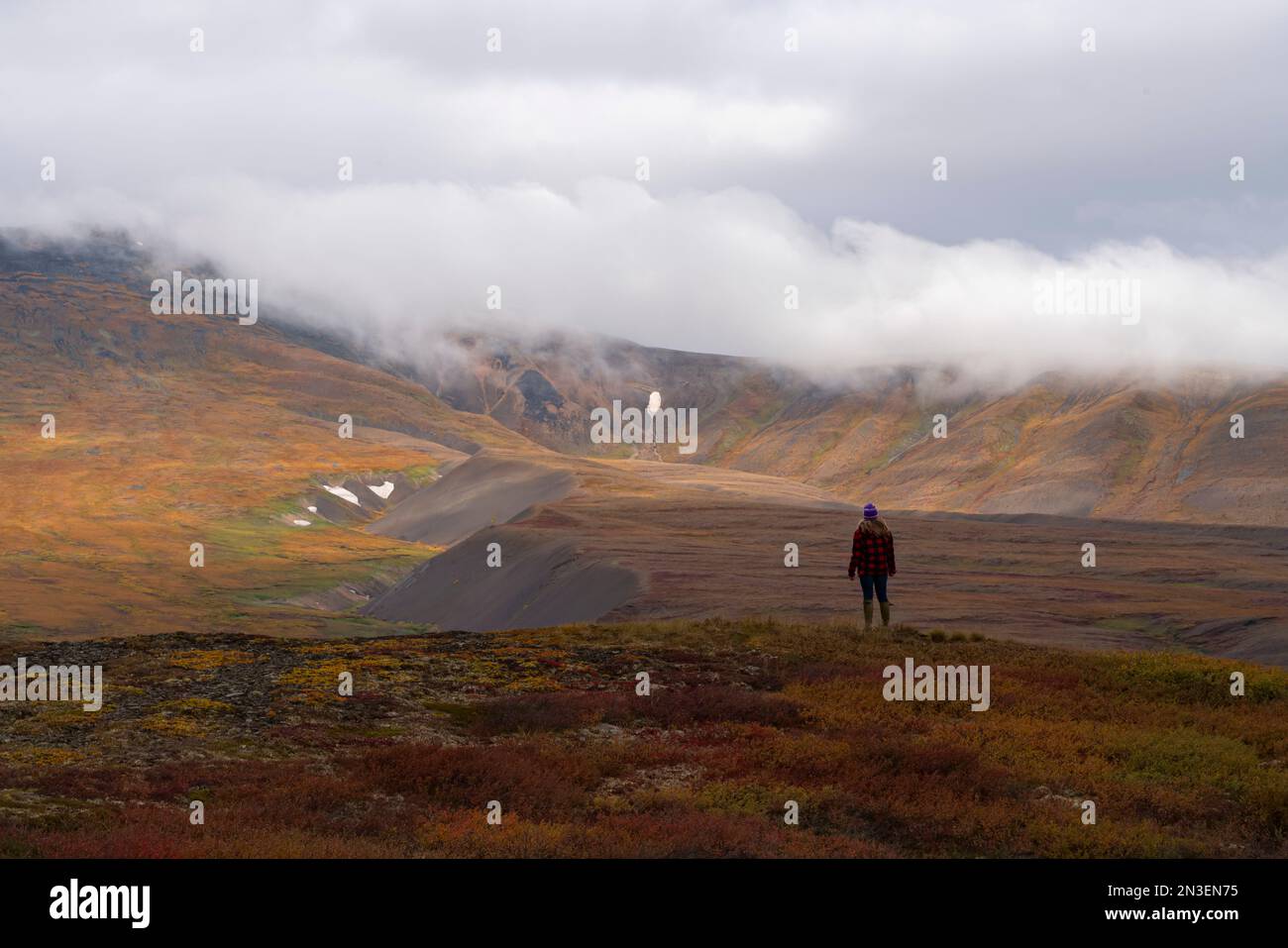 Woman walking in the tundra along the Dempster Highway and enjoying the ...