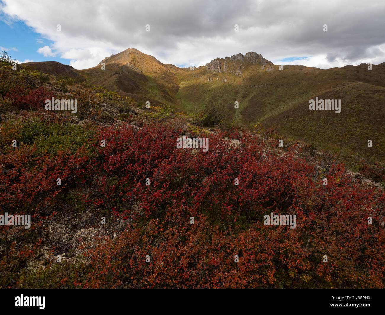 The landscape is alight with color as autumn settles into the plants ...