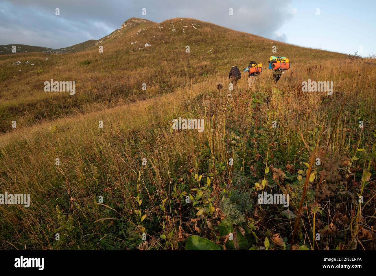 Adventure exploration expedition as three explorers hike up a grassy ...