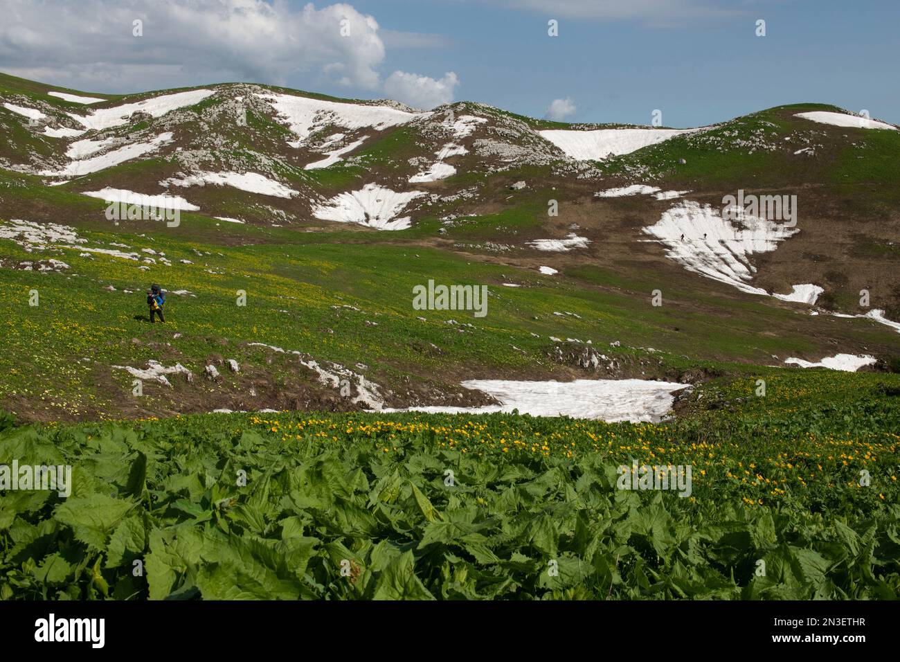 The explorers way blue mountains hi-res stock photography and images ...