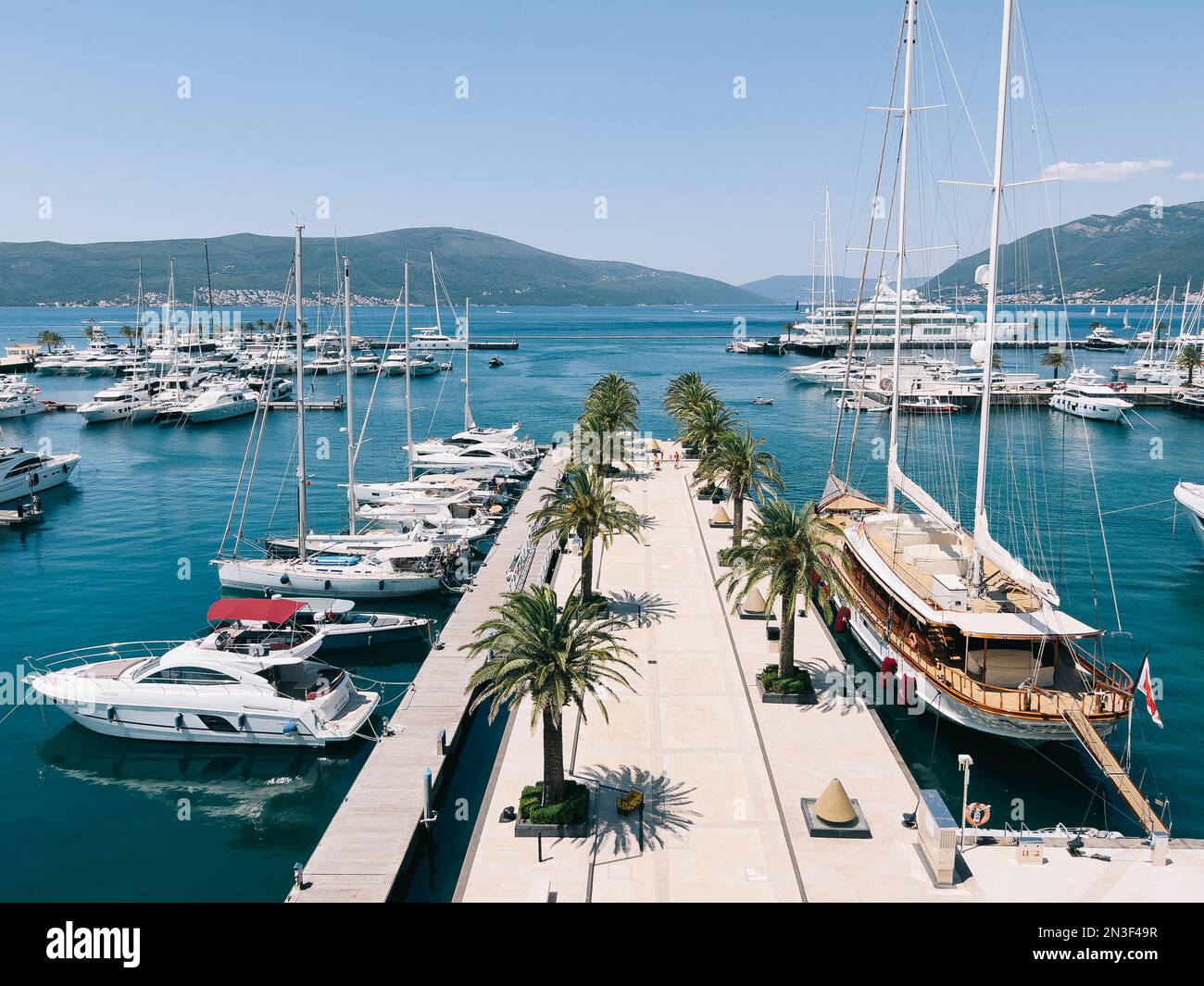Tiled pier lined with palm trees with luxury yachts moored on either ...