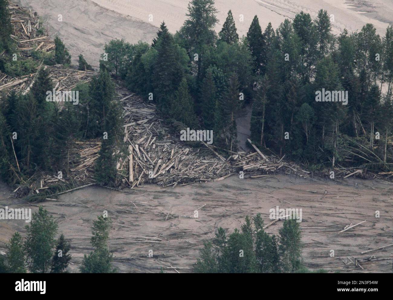 Logs are piled like sticks in the aftermath of the eruption of Mount St ...