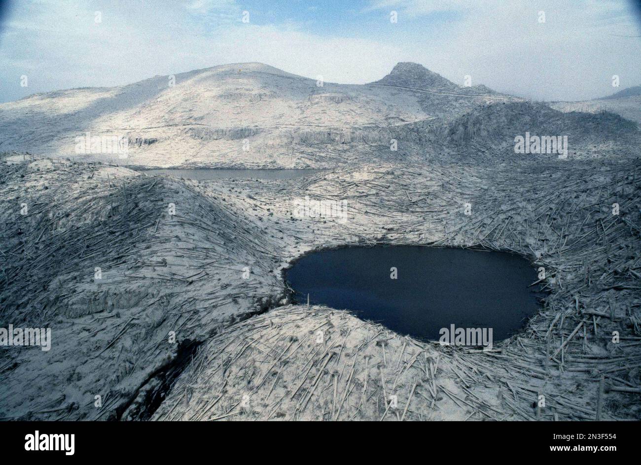 Denuded trees lay like matchsticks in the changed landscape around ...