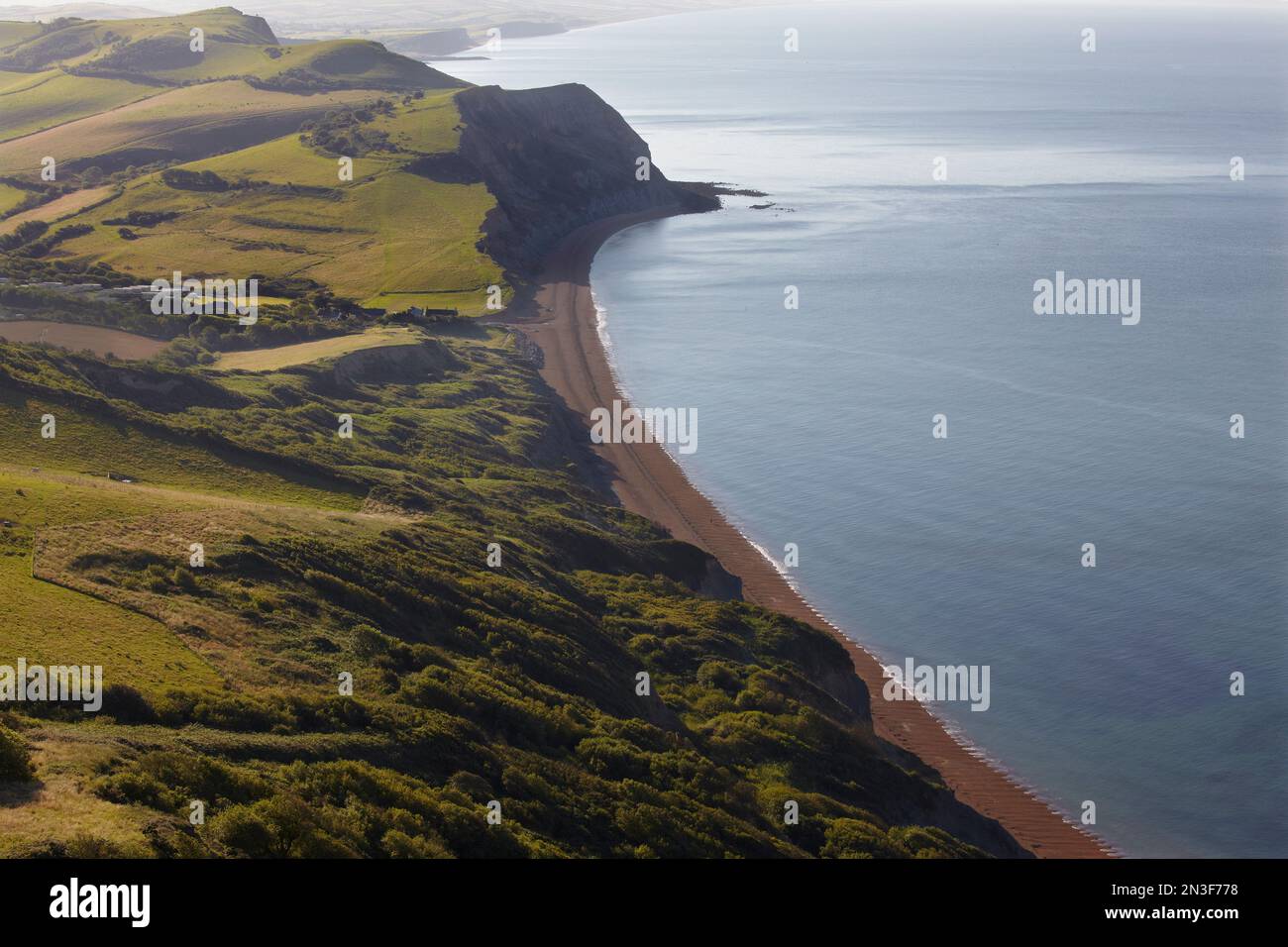 Golden cap dorest hi-res stock photography and images - Alamy