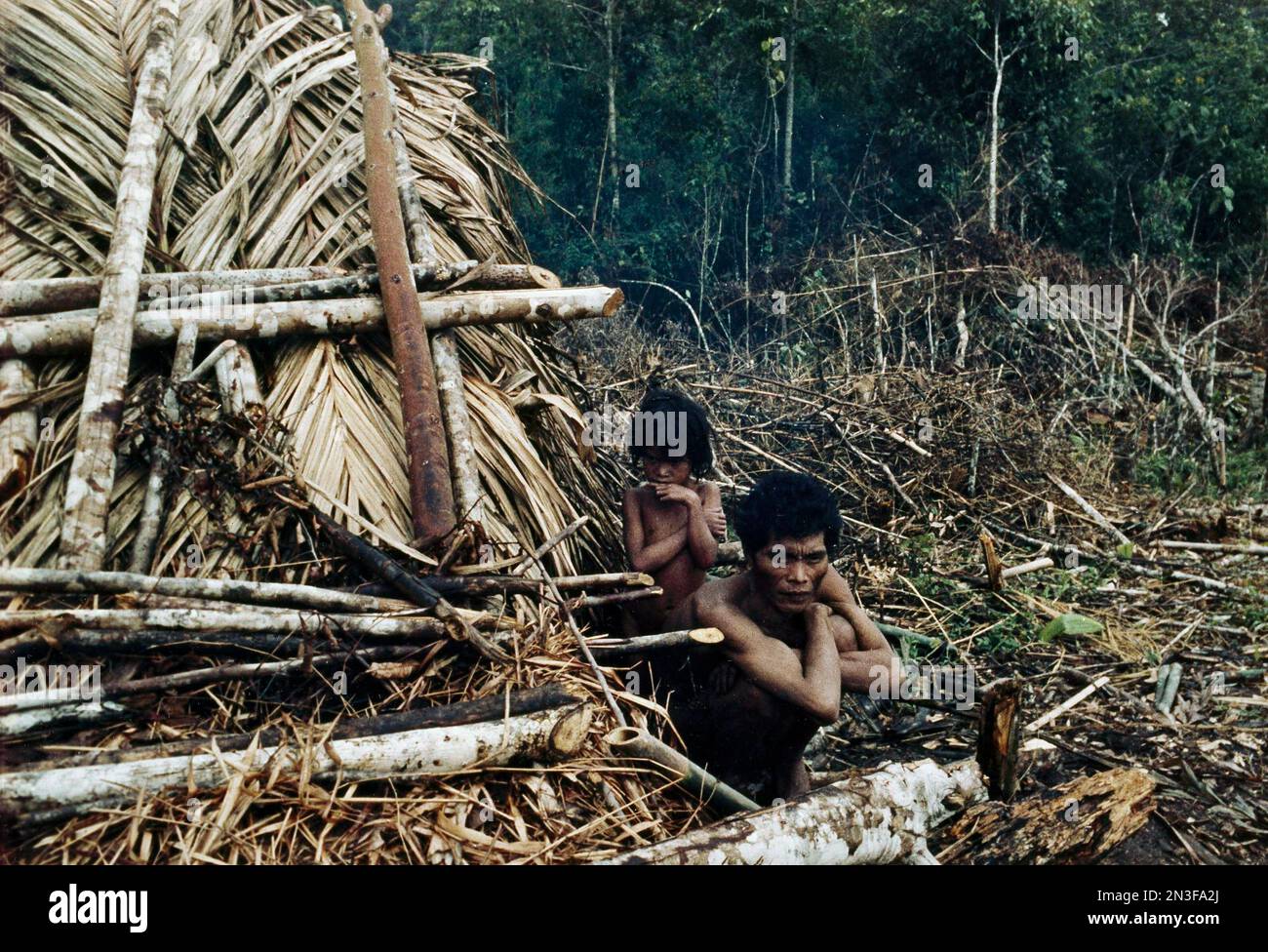 The discovery of a tribe of people living in the style of the Stone Age ...