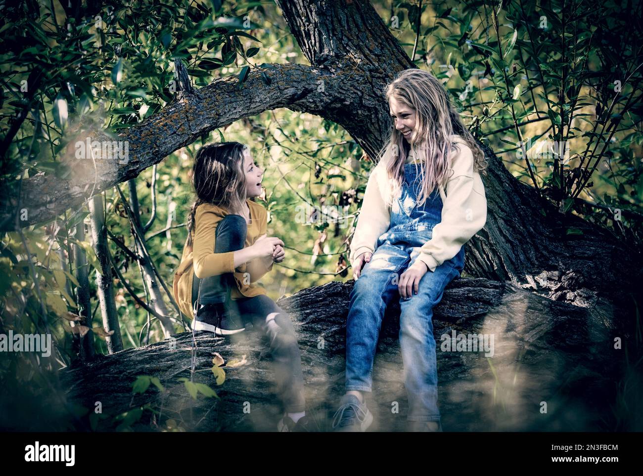 Girl clim tree hi-res stock photography and images - Alamy