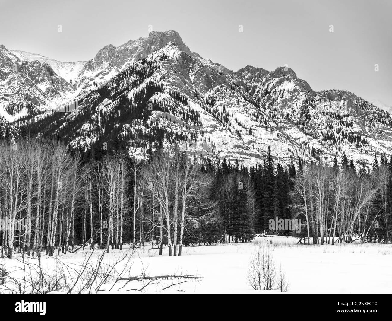 Winter in the Rocky Mountains, the view along the Bow Valley Parkway ...