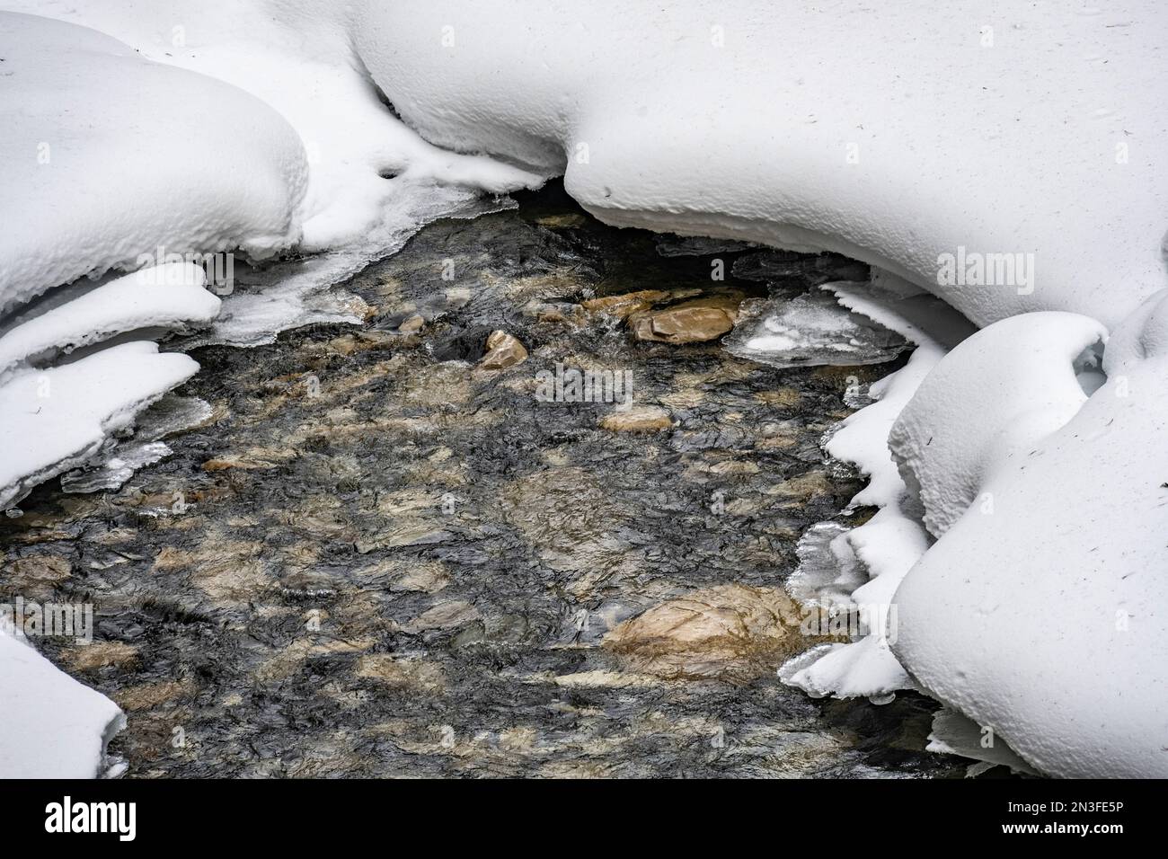 Clear water of Johnston Creek running over rocks and under snow in ...