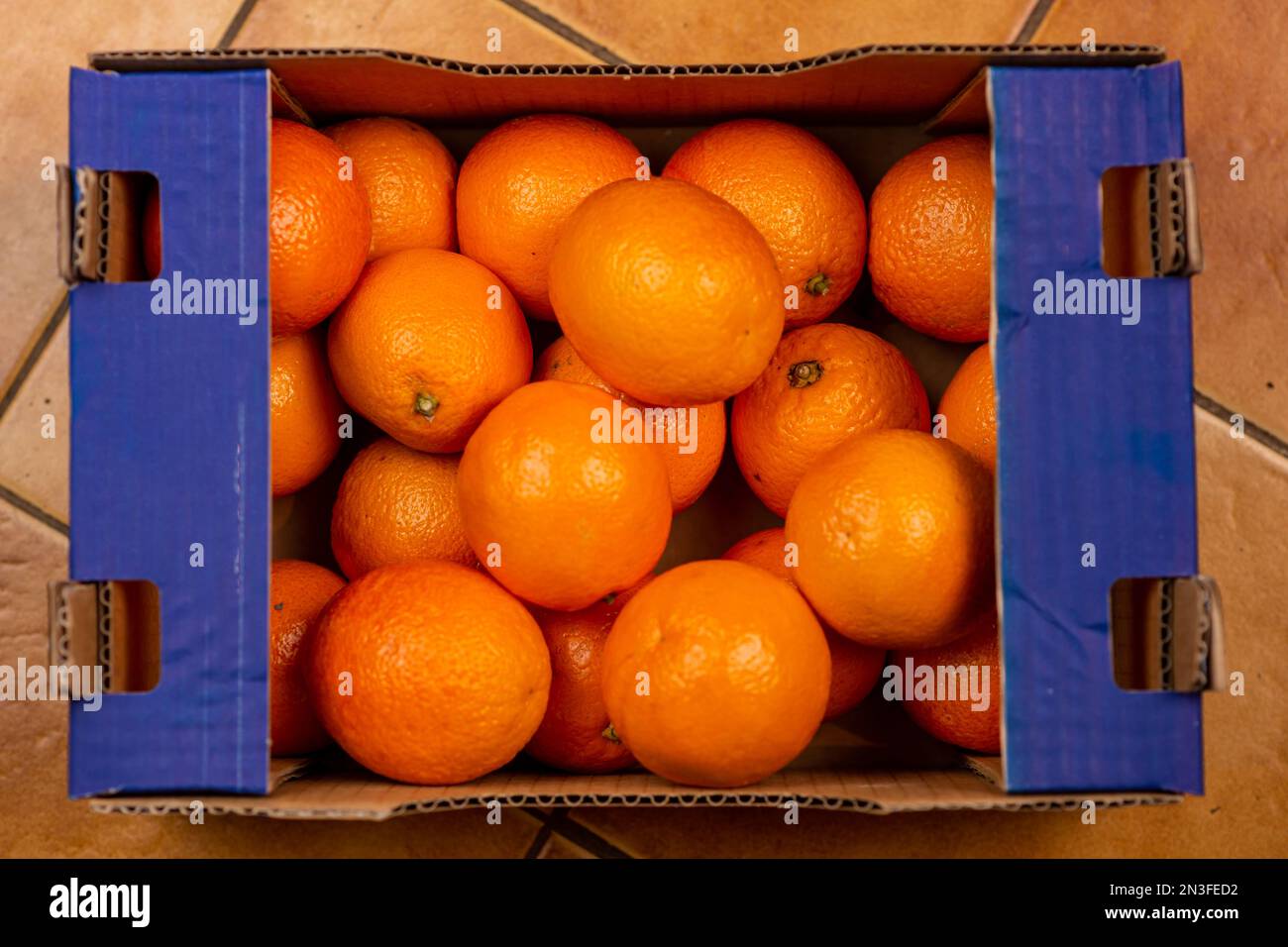 Oranges in a cardboard box. Lots of orange storage, sale concept Stock ...
