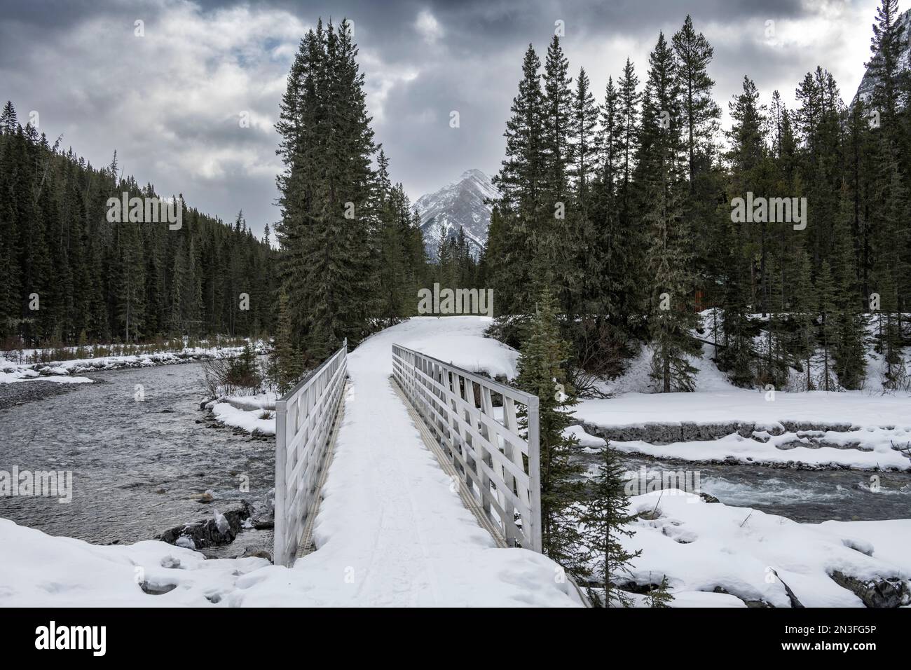 Snow-covered Spray River Trail in Banff National Park, Alberta, Canada ...