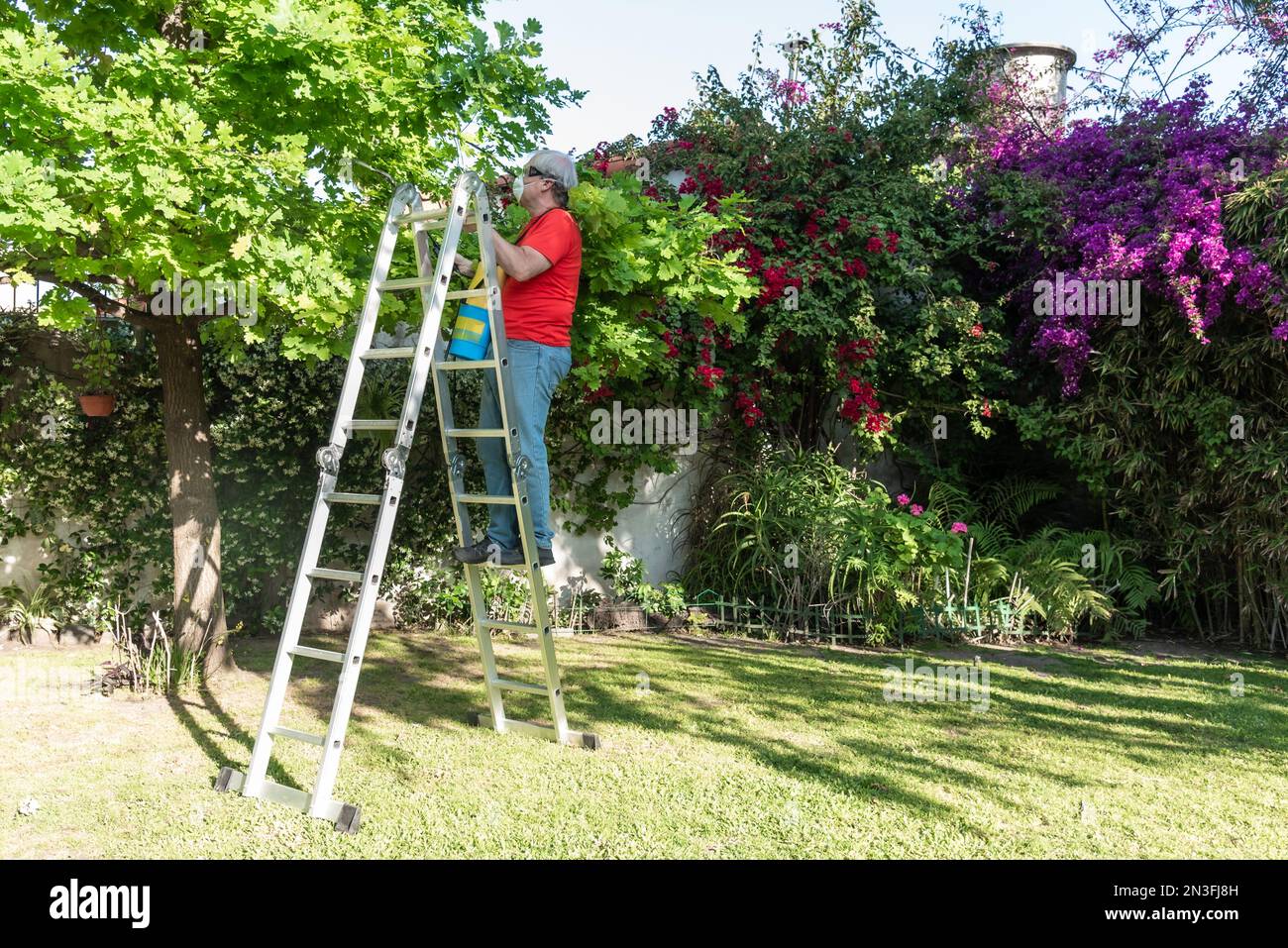 Disinfecting plant hi-res stock photography and images - Alamy