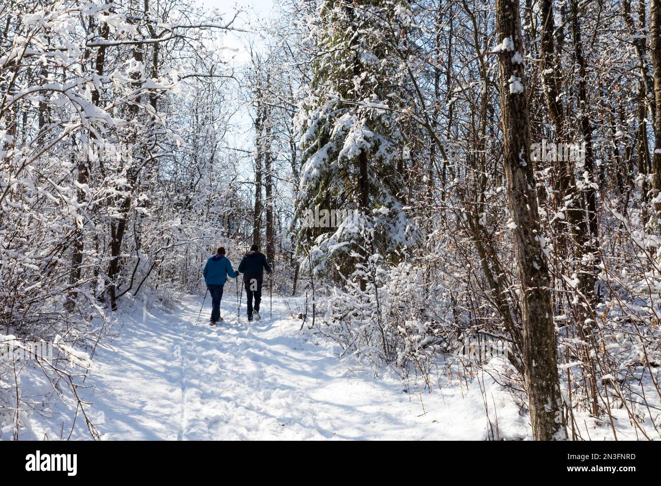 Edmonton alberta couple winter hi-res stock photography and images - Alamy