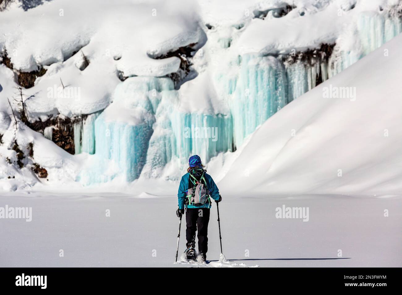 Female snowshoeing and breaking a trail on an untouched snow-covered ...