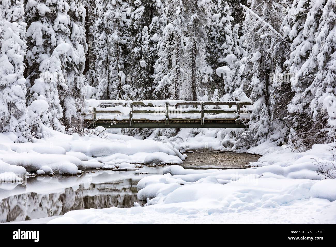 Snow-covered bridge and stream with some open water near Emerald Lake ...