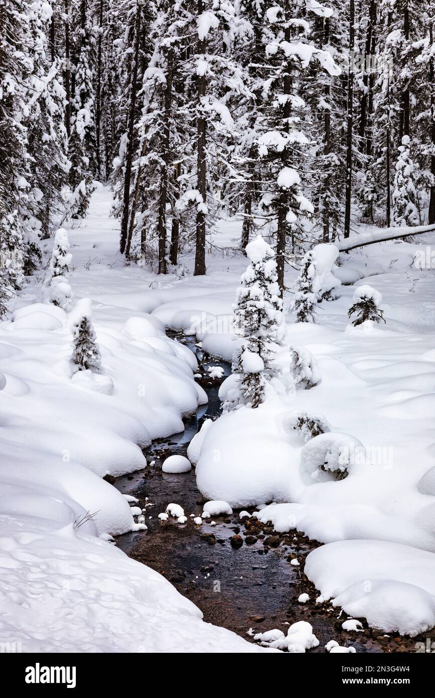 Partially frozen stream in Banff National Park during the winter; Banff ...