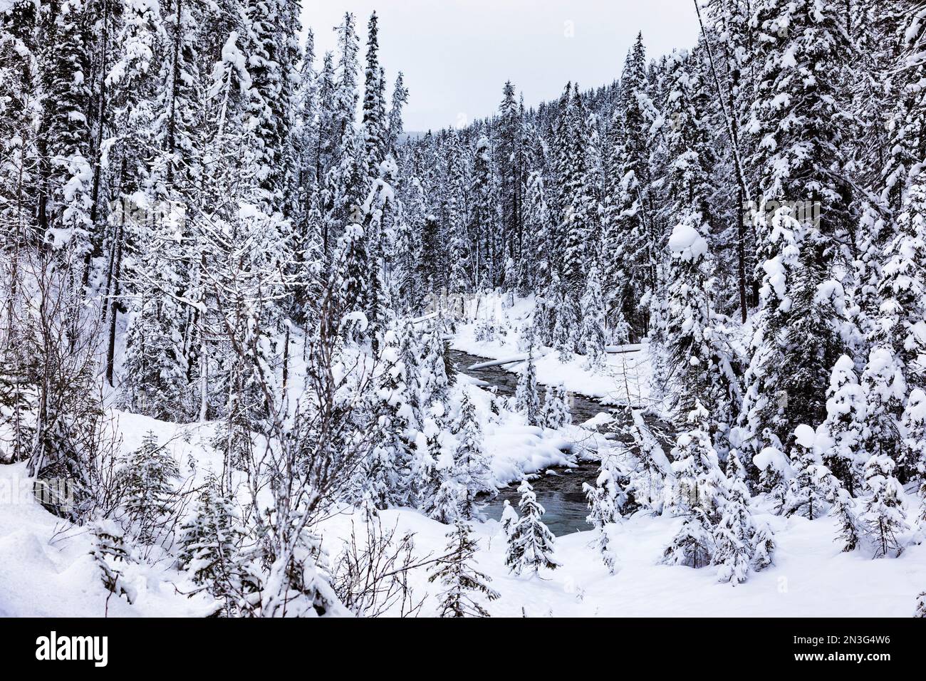 Partially frozen stream in Banff National Park during the winter; Banff ...