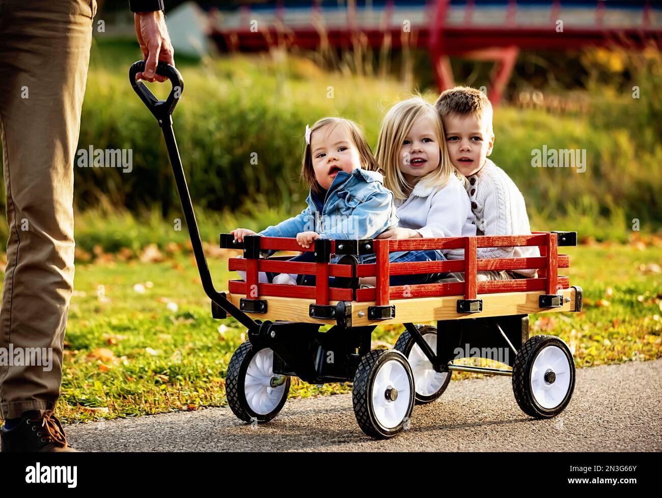 A father pulling his young children in a wagon in a city park during ...