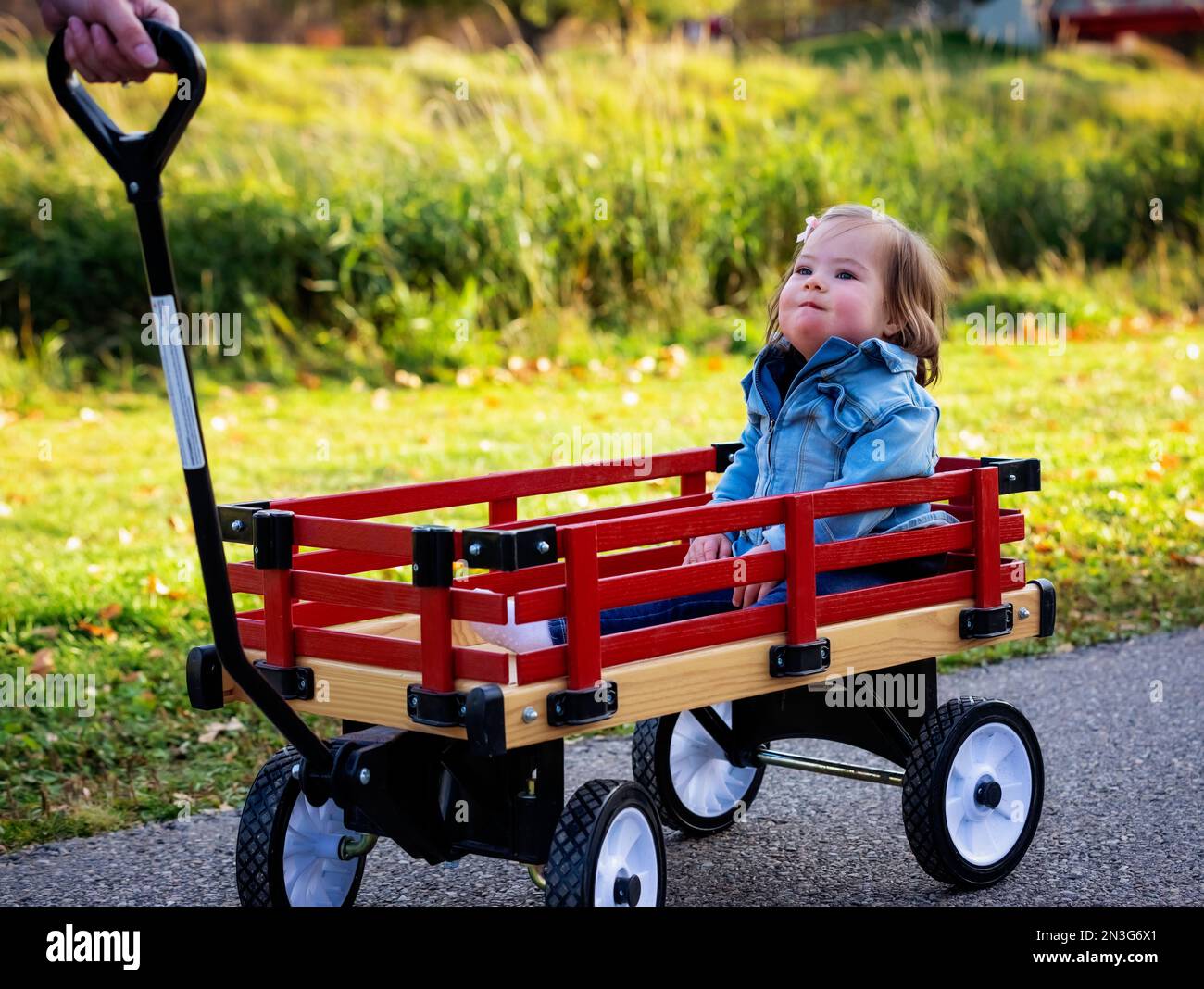 A mother pulling her baby with Down Syndrome in a wagon in a city park ...
