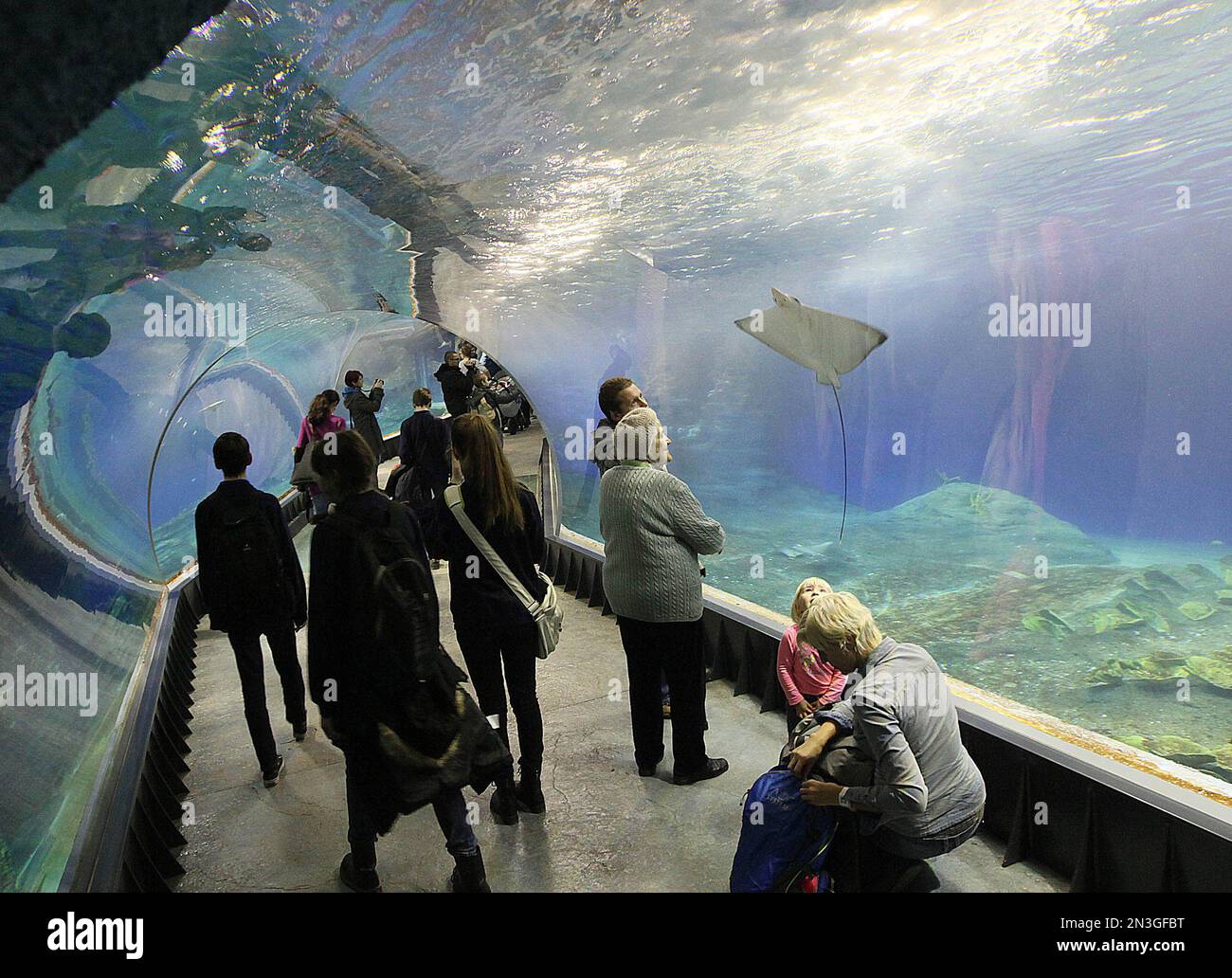 People watch fish in newly opened Africanarium zoo in Wroclaw , Poland ...