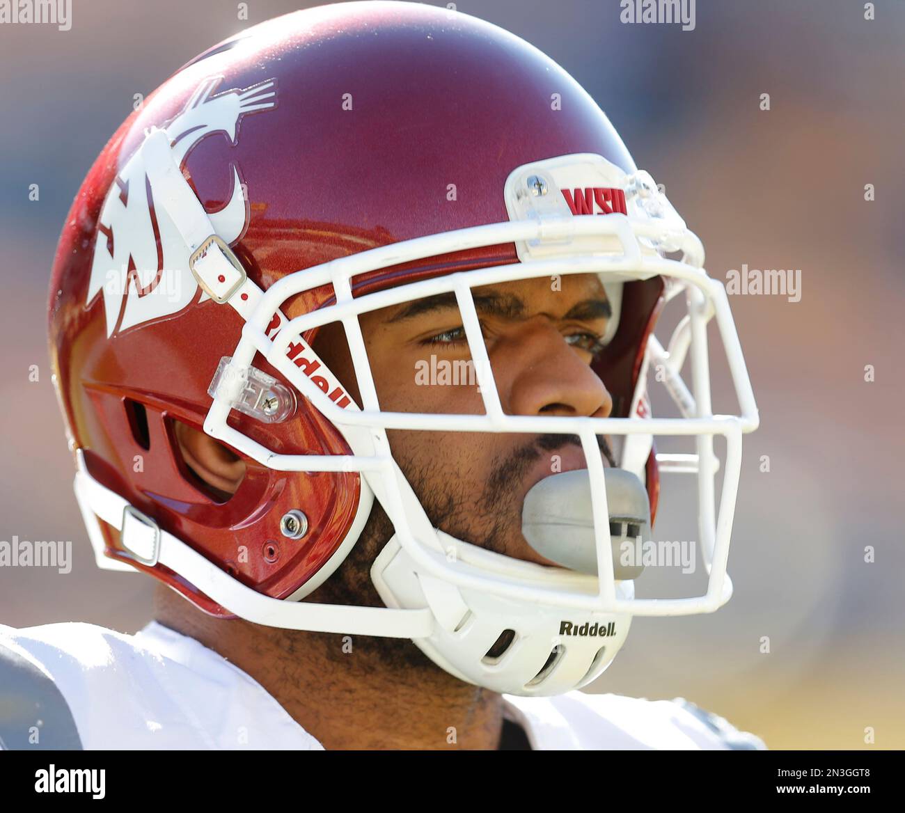 Washington State wide receiver Vince Mayle (1) in the first half during ...