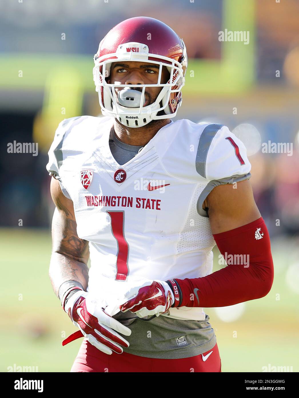 Washington State wide receiver Vince Mayle (1) in the first half during ...
