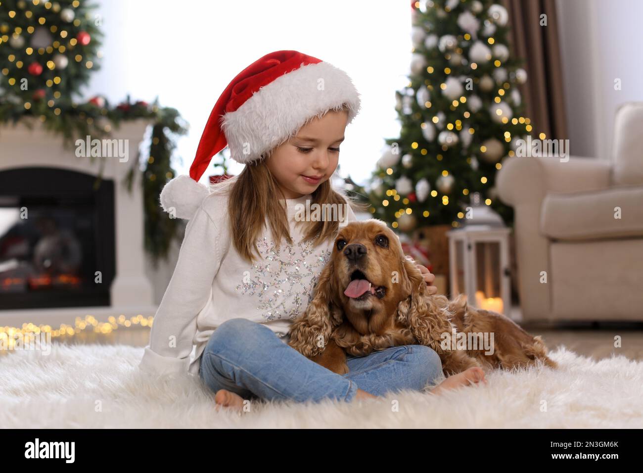 Cute little girl with English Cocker Spaniel in room decorated for ...