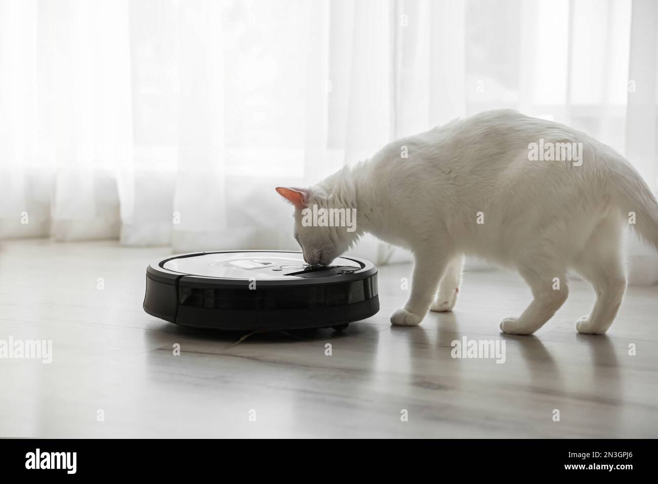 Modern robotic vacuum cleaner and cute cat on floor indoors Stock Photo ...