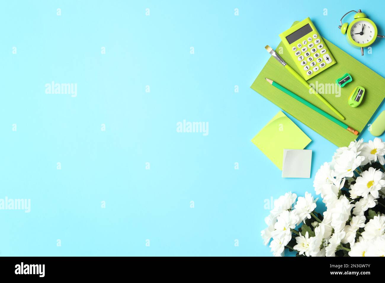 Different school stationery and beautiful white flowers on light blue ...
