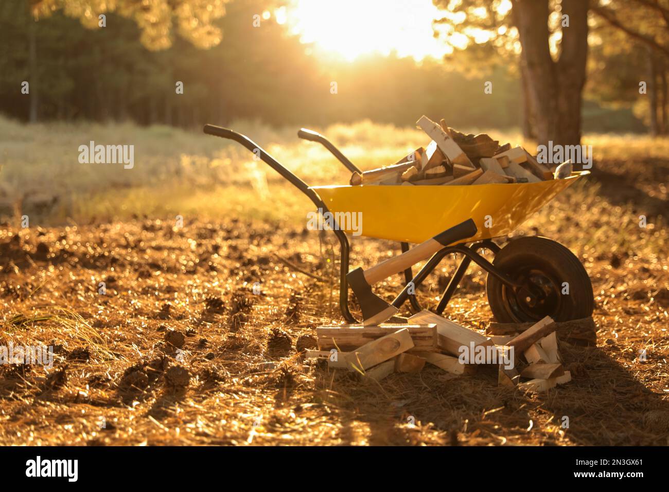 Wood timber log wheelbarrow hi-res stock photography and images - Alamy