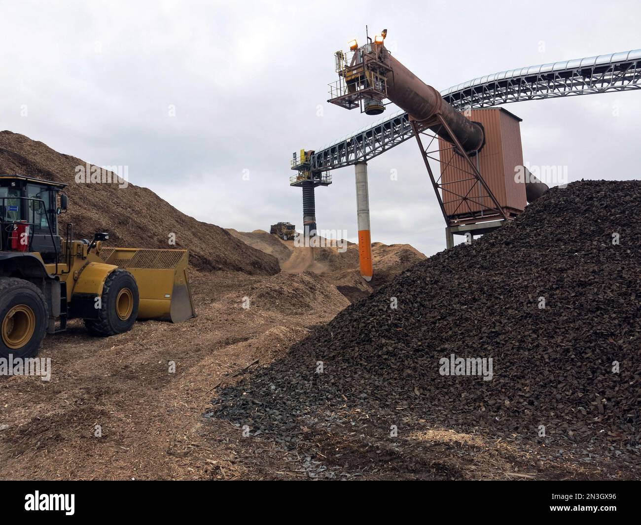 This Nov. 12, 2014 photo shows piles of wood chip fuel at the ReEnergy ...